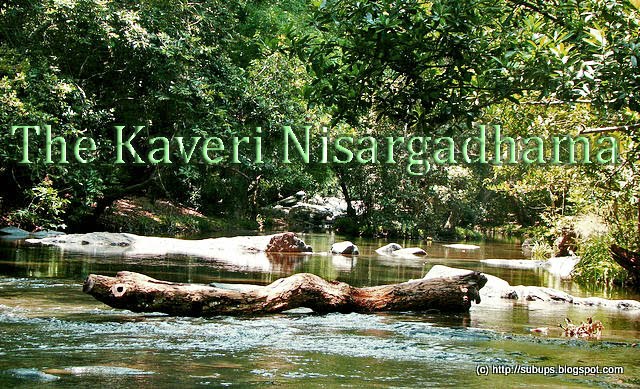 Passion for Road Trips: The Kaveri Nisargadhama (Coorg Exclusive - Part 3)