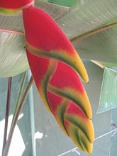 Blogs de Bolivia: Radio Patuju