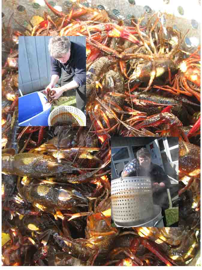 What Do I Know?: Harry's Crawfish Boil