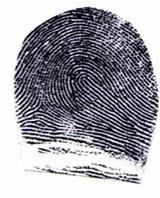 Papi: Clave Chilena de 14 valores