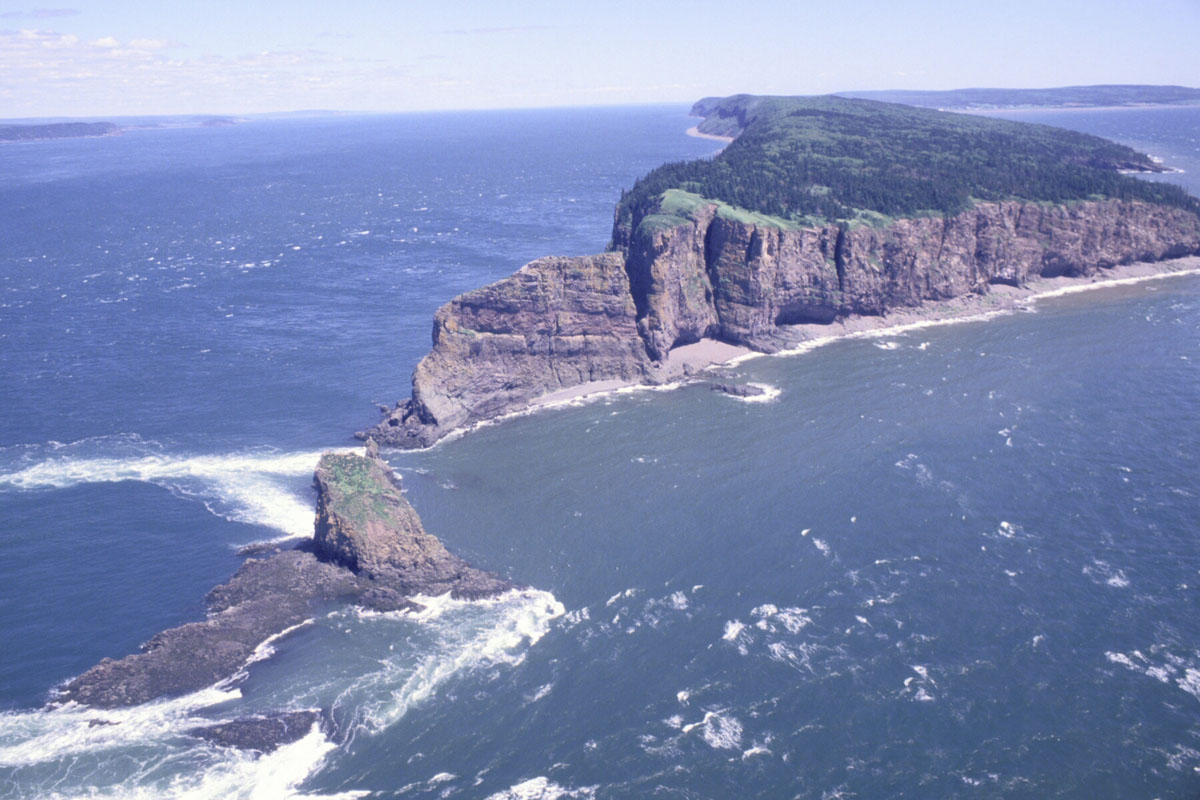 Bloomingwriter: Gardening in Nova Scotia: Skywatch Friday on Saturday ...