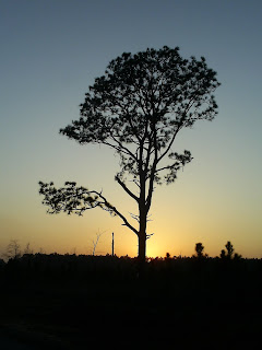 Chapter 1 Commentary: "A Good Place" - Creekbank Stories