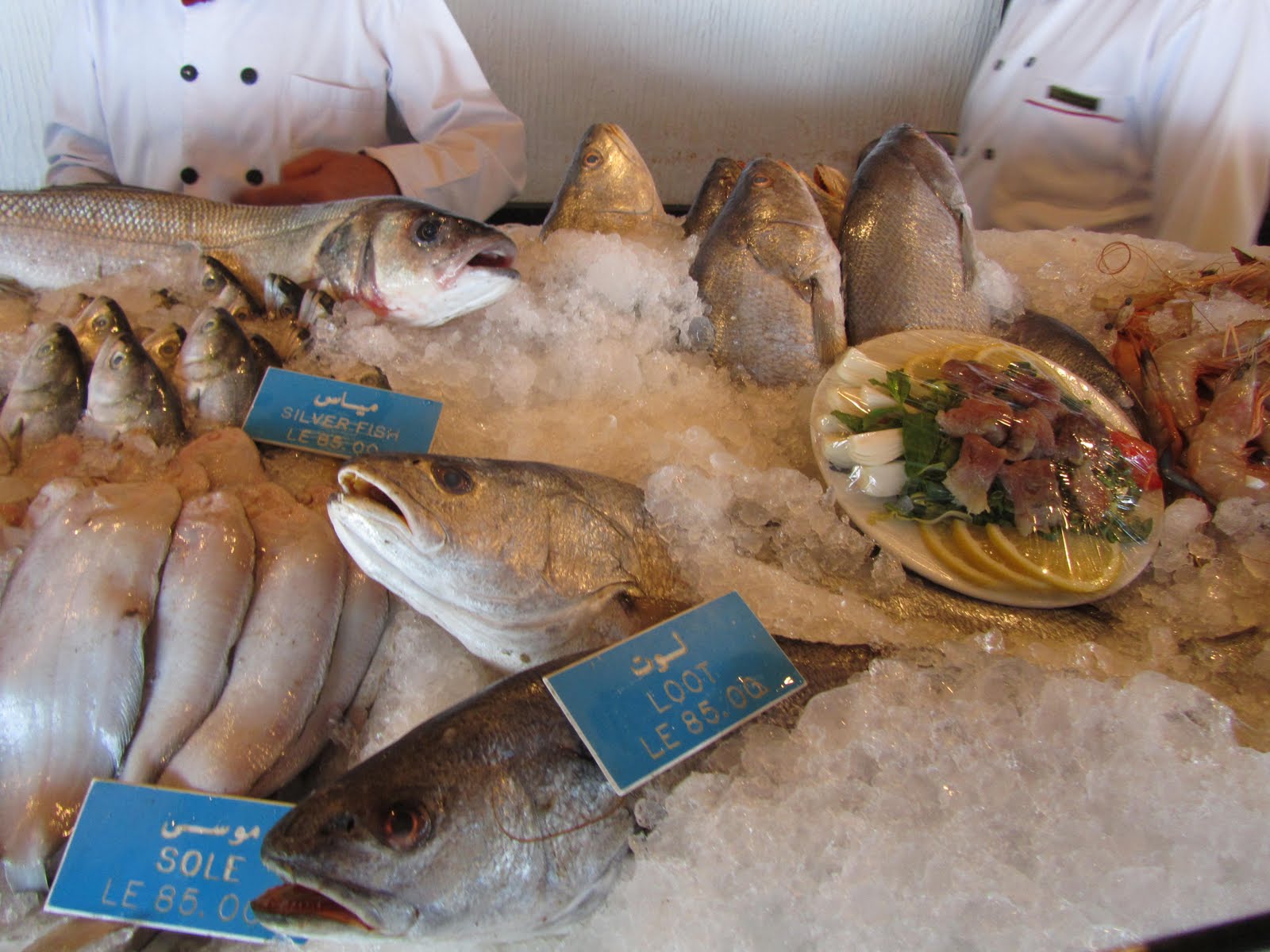 Travel to Eat!: Alexandria, Egypt