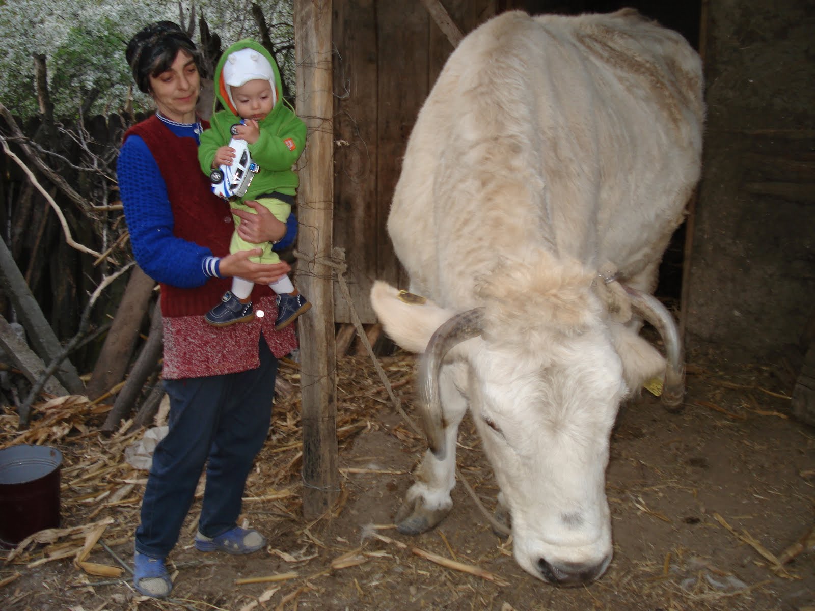 Mateo: Prima poza cu....