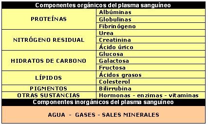 CIENCIAS BIOLOGICAS: LA SANGRE - TEJIDO SANGUINEO