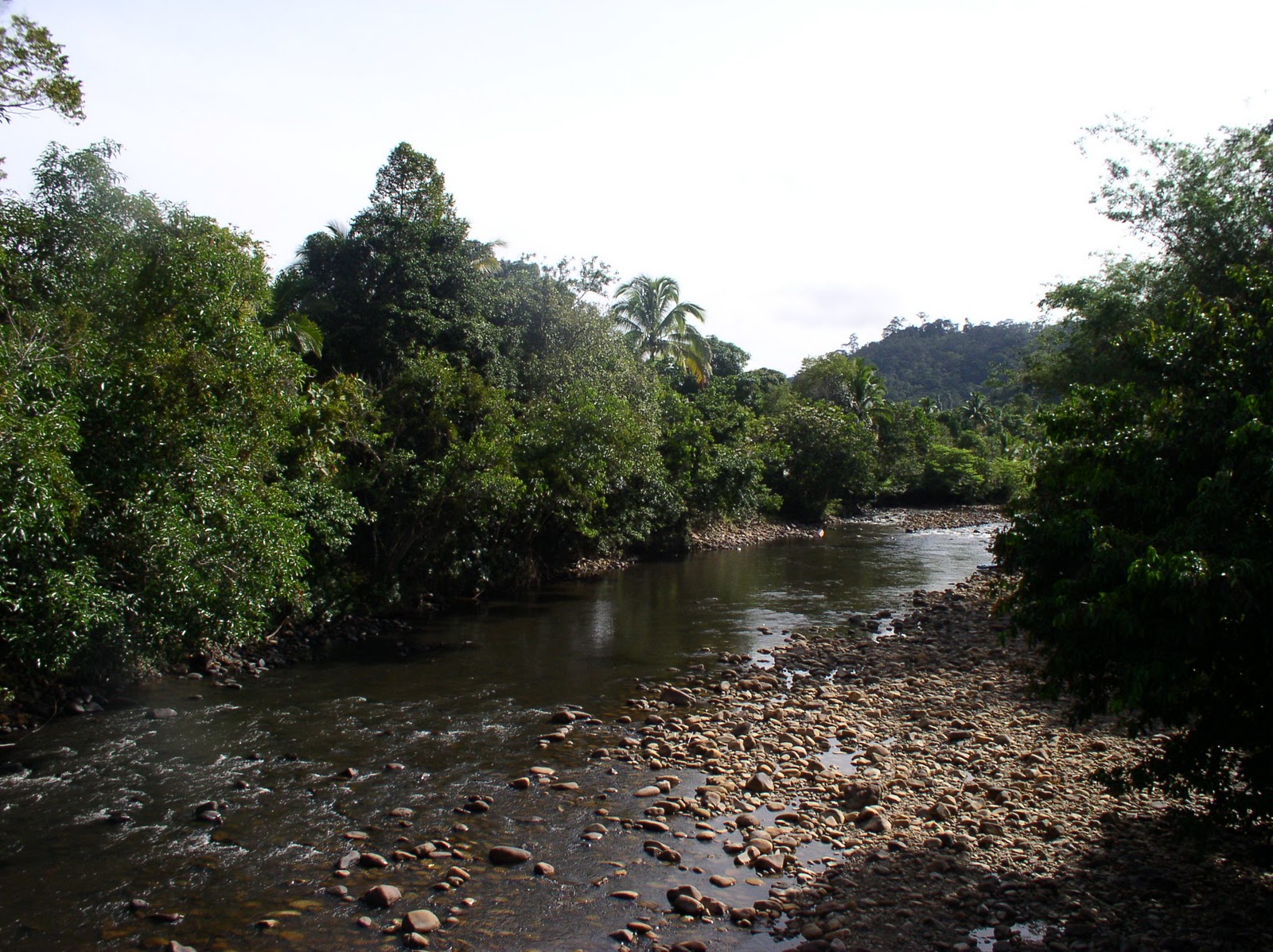 kampung mela: Mela immigrants in Long Lellang, Sarawak.