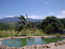 TRIP NA TRIP: Trip to Bohol