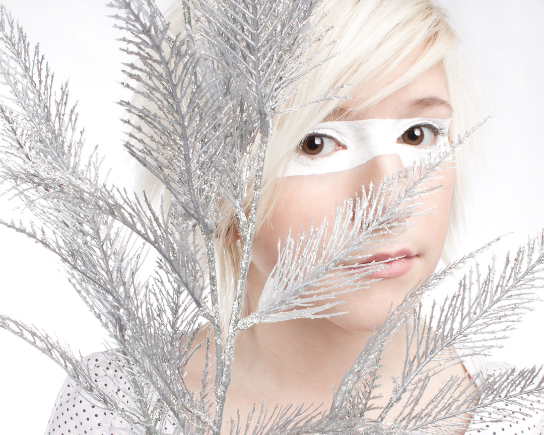 SIAST Applied Photography: PHOT 213 ~ High-key Lighting