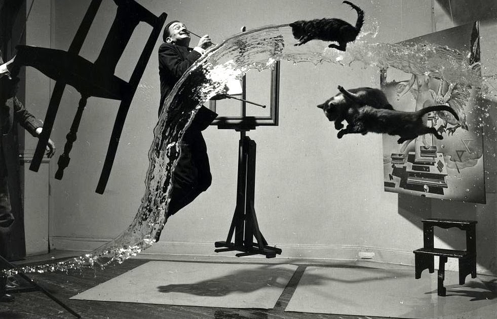 Salvador Dali cats, and water caught in surreal motion Public Domain ...