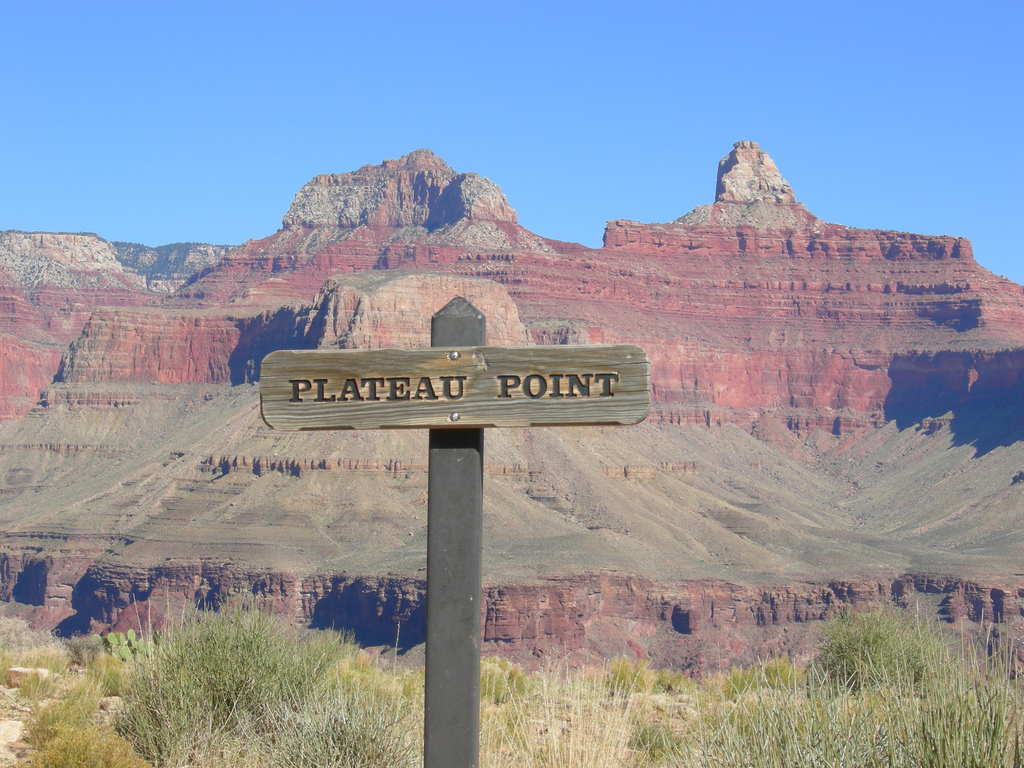 NeuroDojo: Looking for new heights to climb