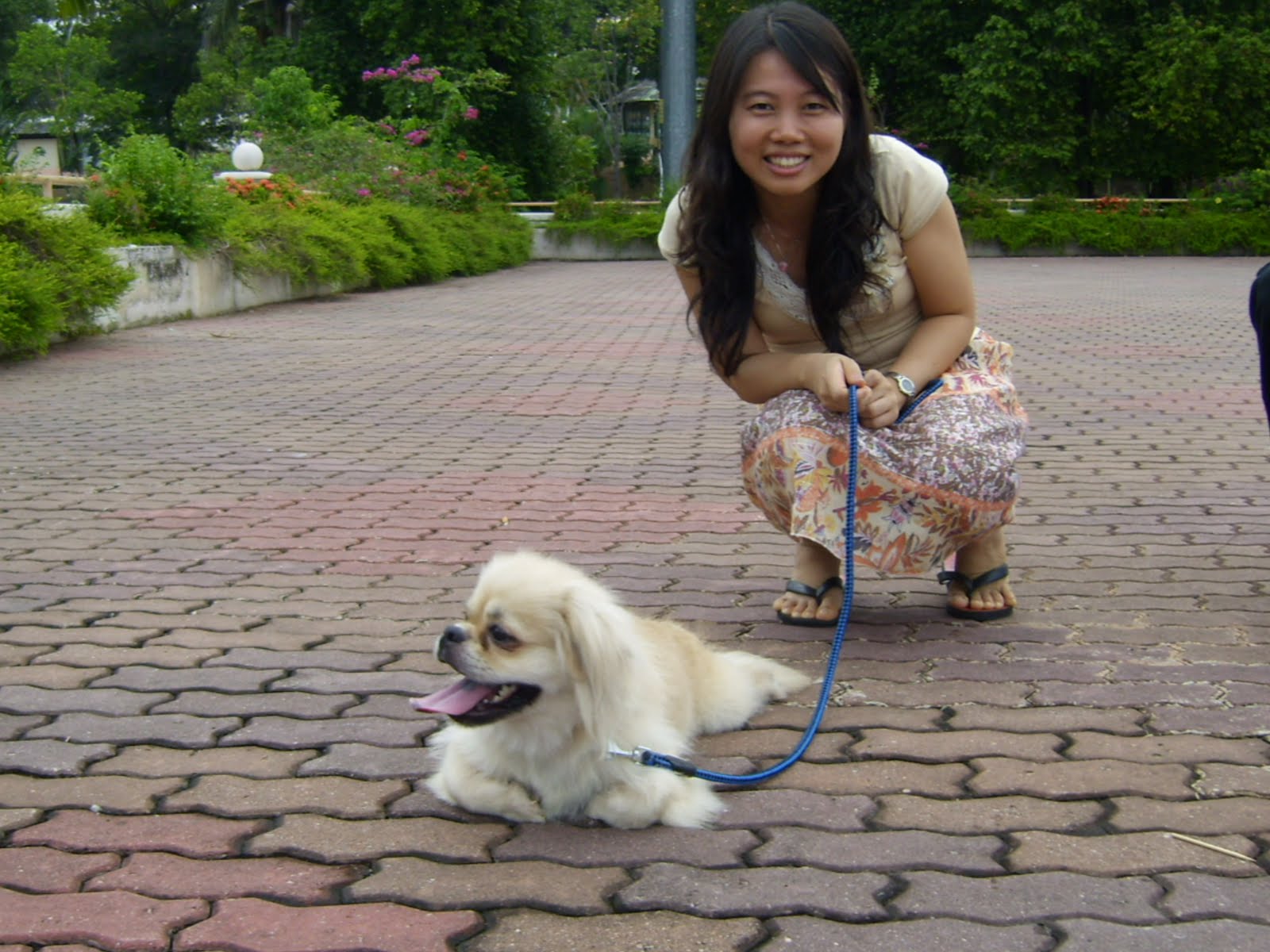 Michan Petite: Outing With Pet Dogs