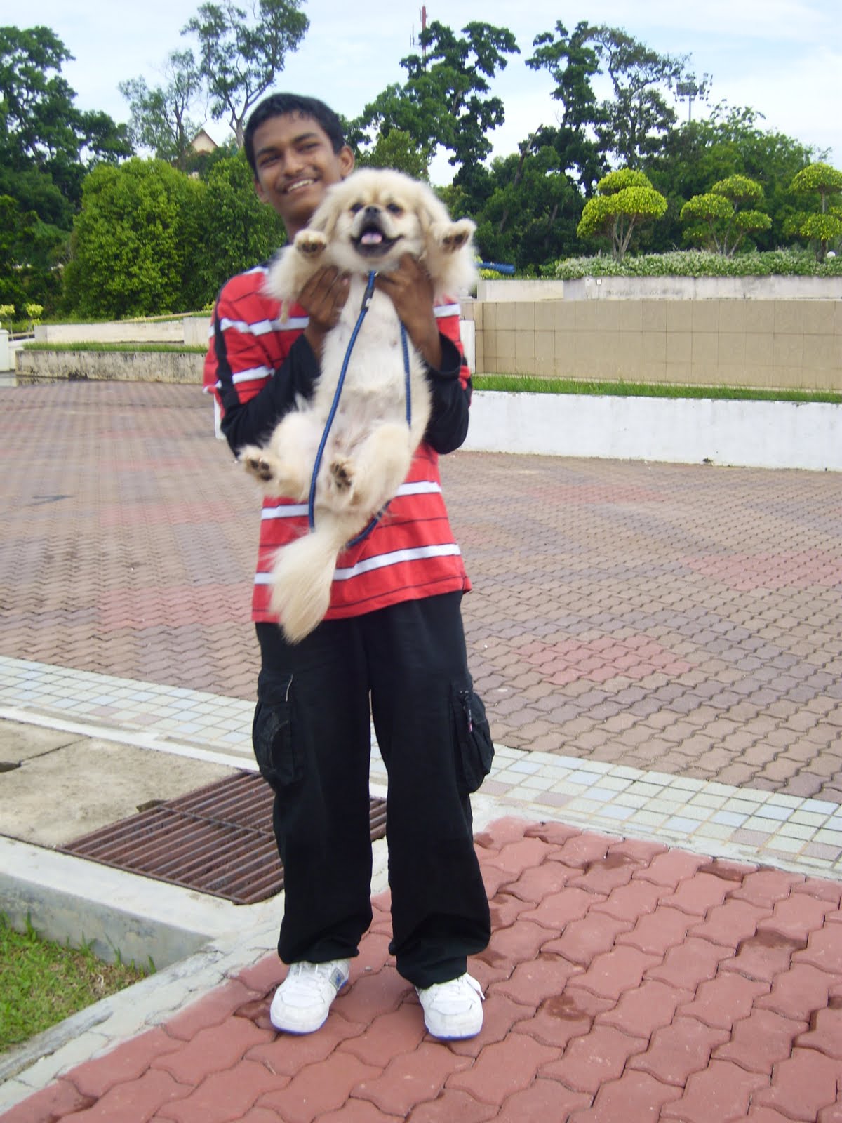 Michan Petite: Outing With Pet Dogs