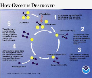 Secure First: How to Solve Ozone Layer Destruction