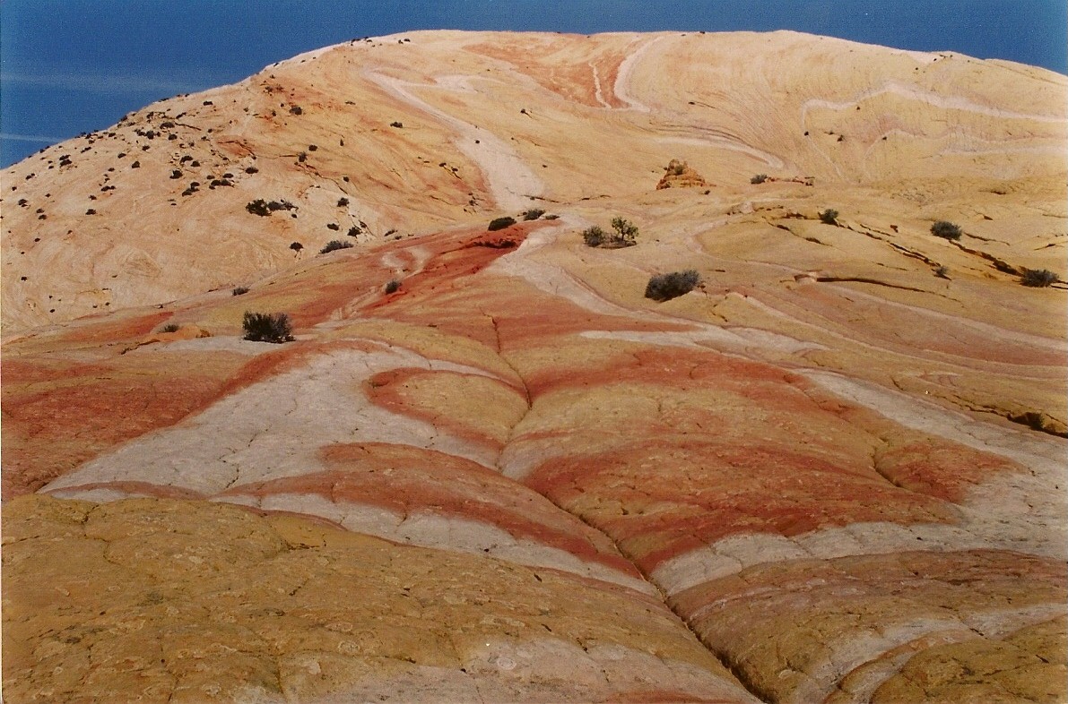 Arizona Jones Outdoor: Yellow Rock and Hackberry Canyon, Utah