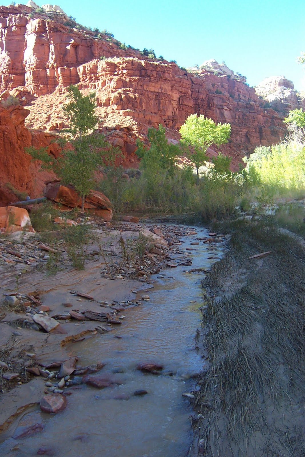 Arizona Jones Outdoor: Yellow Rock and Hackberry Canyon, Utah