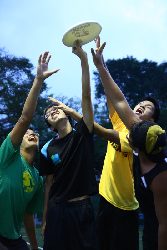 SIM Ultimate Frisbee