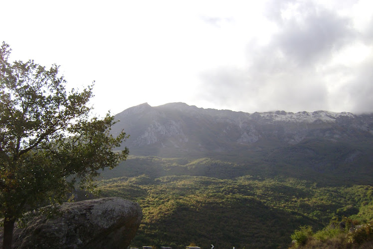“ΤΟ ΠΙΝΟΒΟ”