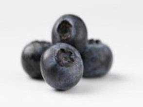 Khasiat Buah Blueberi - Dari Alam - Tranditional Madicine