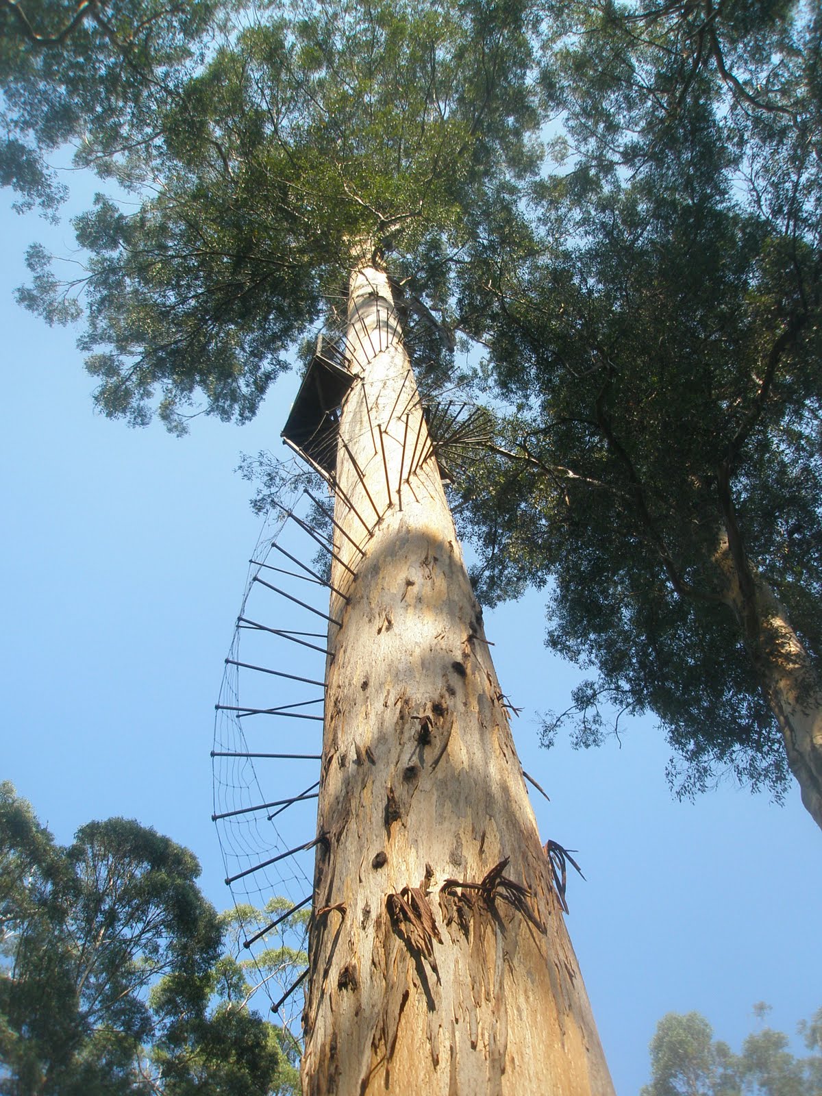 The Chappies World Tour of Australia: South-west Sojourn