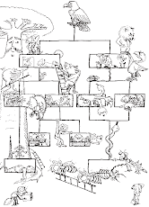 The Organizational Zoo: Conversations that Matter