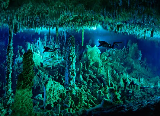 LEAVE: the bucket list nr.1 cave diving Bahama's