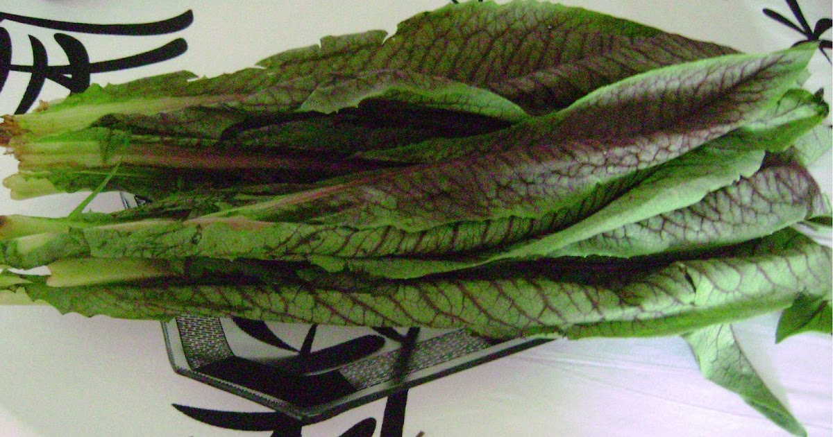 Receitas de Todos os Dias: Almeirão roxo refogadinho - Boa fonte de ...