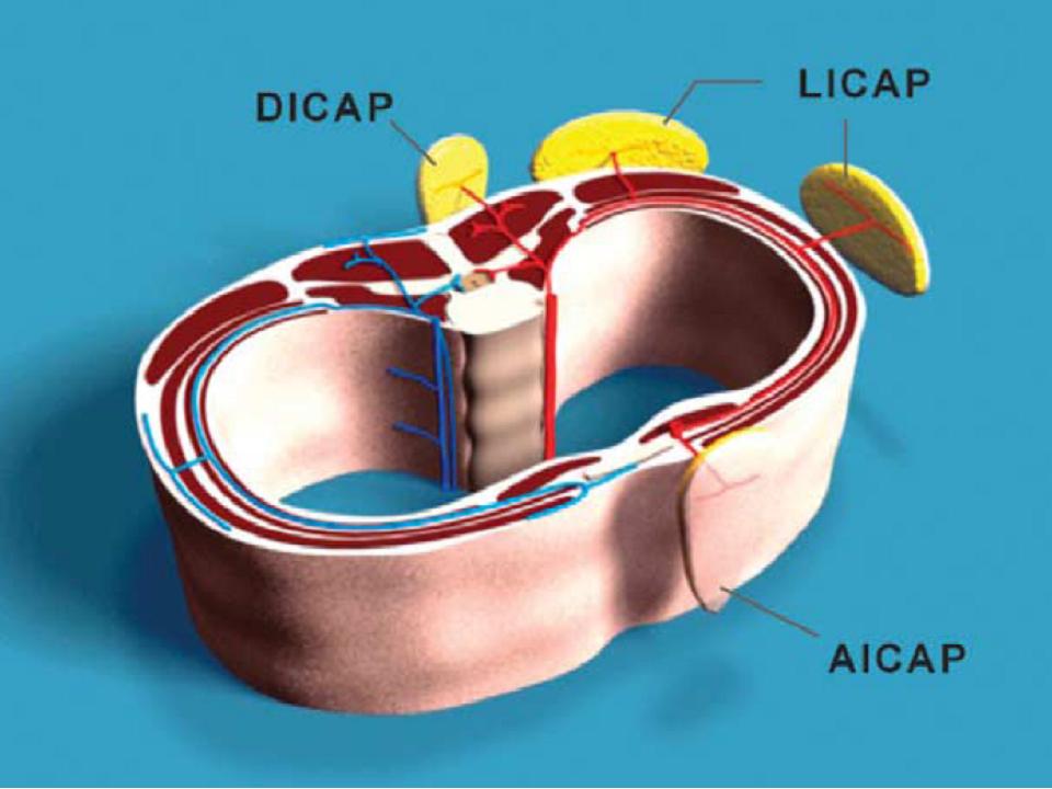 Reconstrução Mamária: dezembro 2010