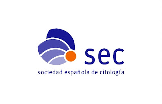 Oscar Manrique - Diseño Grafico: Logotipo SEC