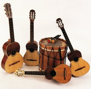 venezuela.musica: Gaita zuliana