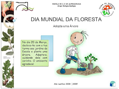 CLUBE DO AMBIENTE: Dia Mundial da Floresta