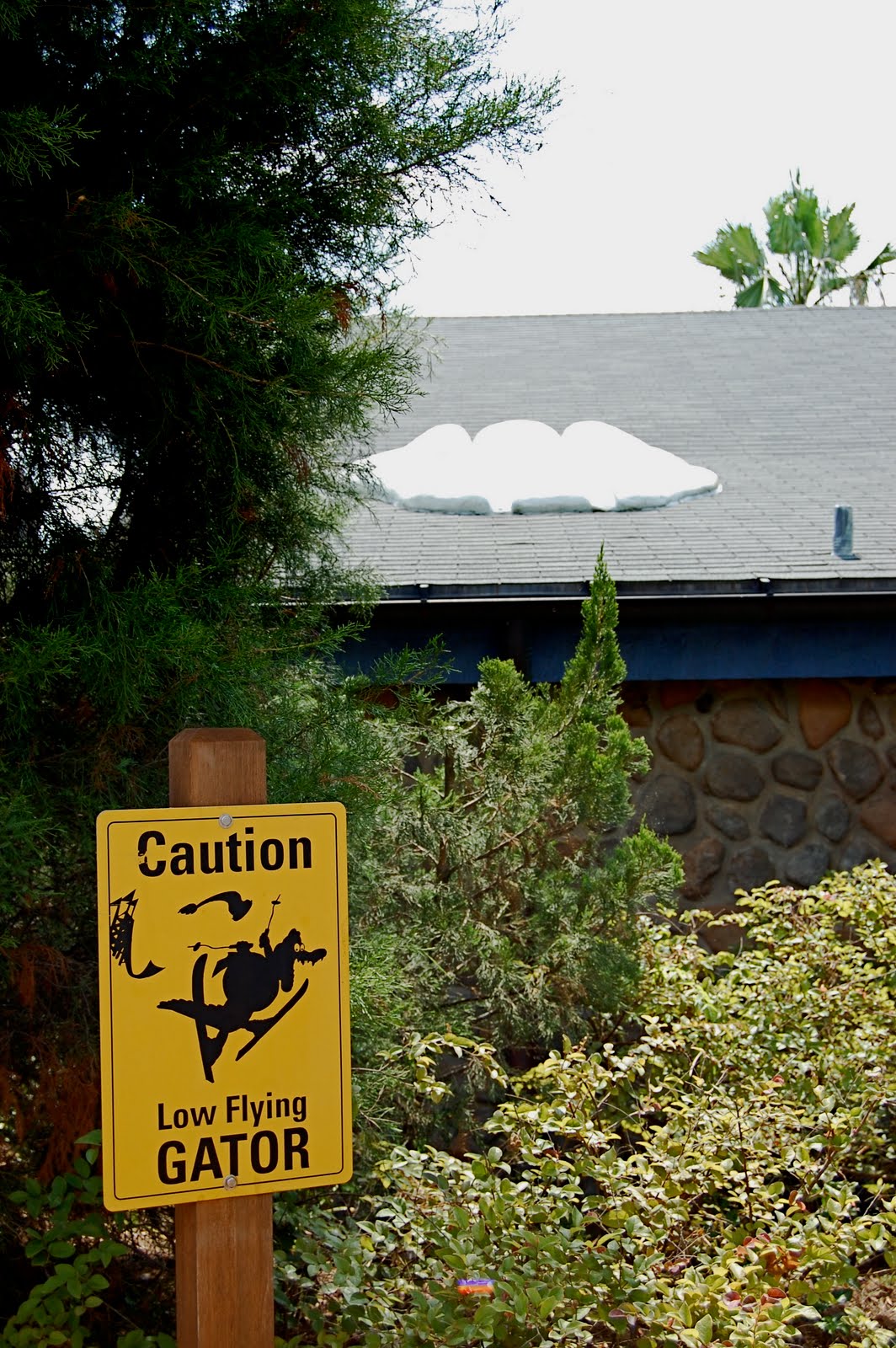 DisneyShawn: Ice Ice Gator