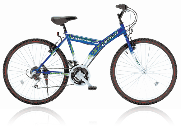 Zarina Zayanah: Basikal