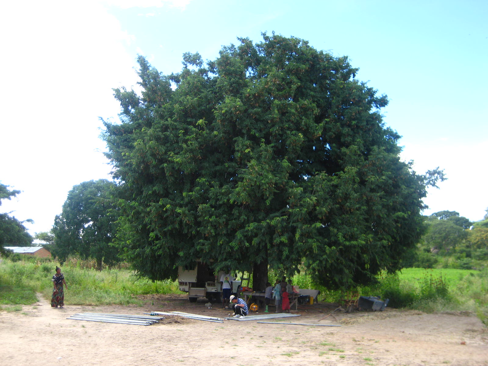 Wataturu, Tanzania: Underneath the Tamarind Tree