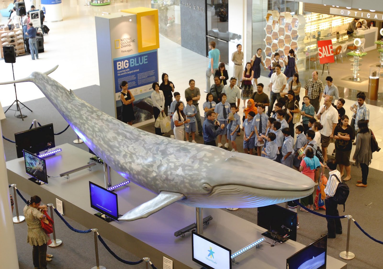 News on Review: National Geographic Channel launches Big Blue exhibit ...