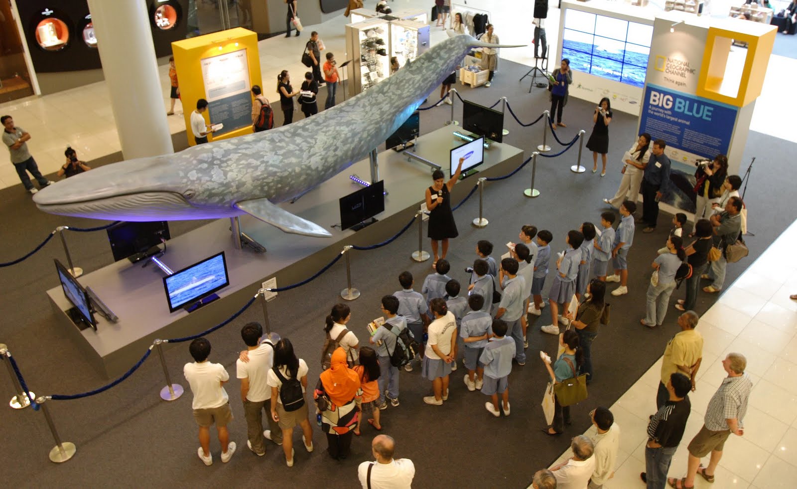 News on Review: National Geographic Channel launches Big Blue exhibit ...