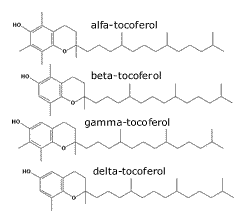 meet food additives: ANTIOXIDANTES NATURALES