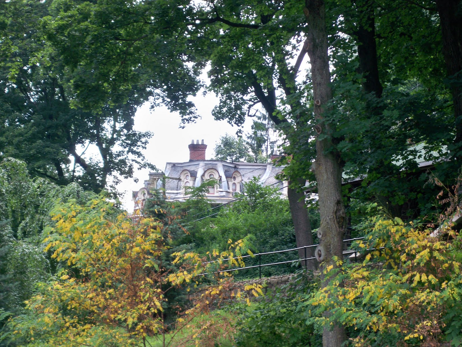 Cultured Carbon County: Viewing the Packers