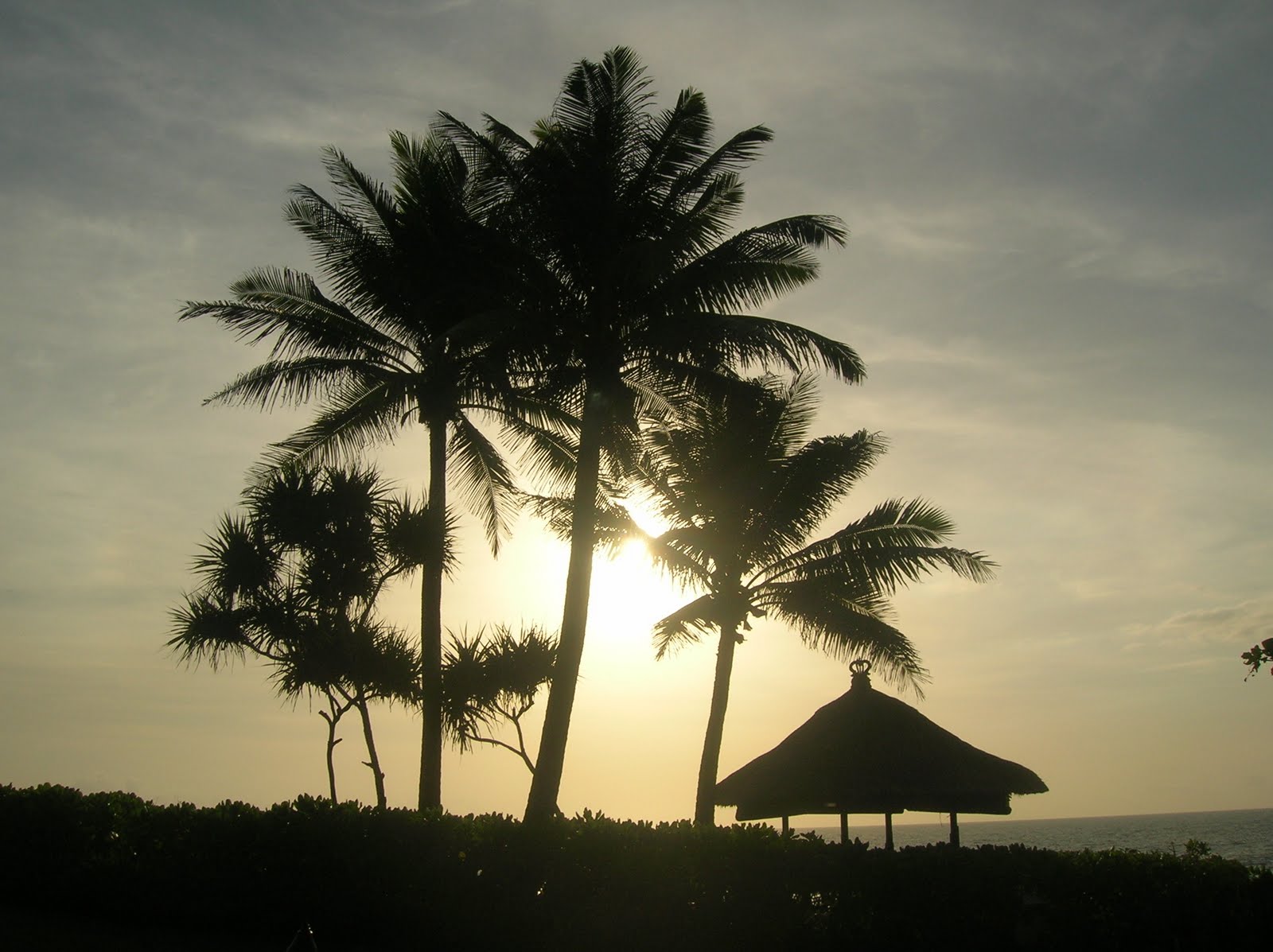 Agelessbonding: Bali Notes