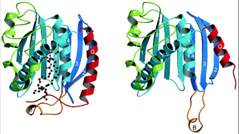 Xtal-WebAry: Structures