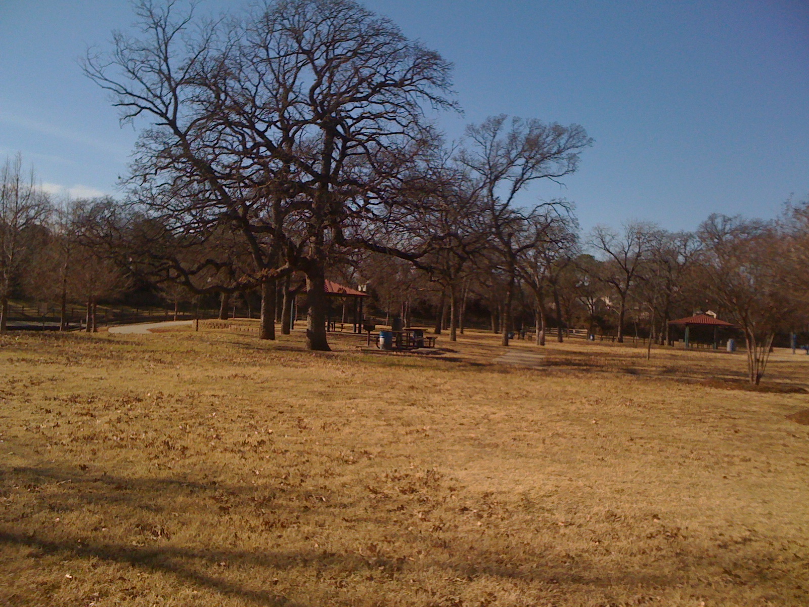 DFW Parks & Playgrounds: Senter Park