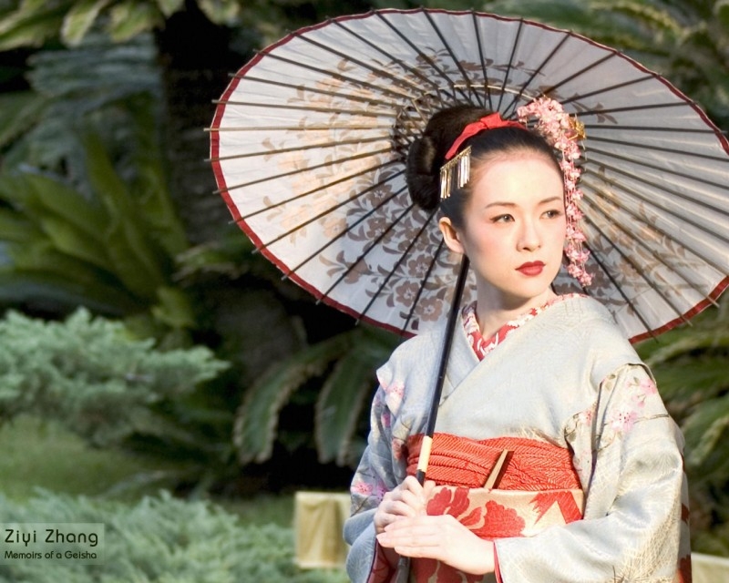 Stileggendo....spunti di vista: Geisha....persona d'arte