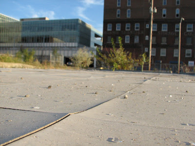 The Google Tree: Outdoor Linoleum?