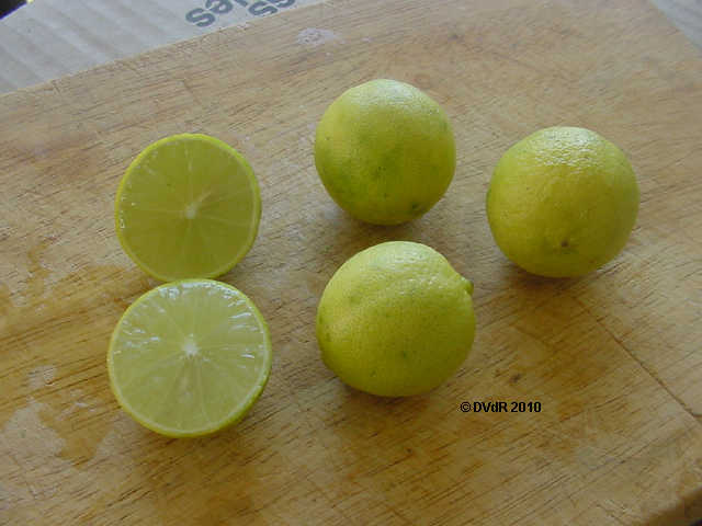 Gardening along the creek...: Freezing Key Limes