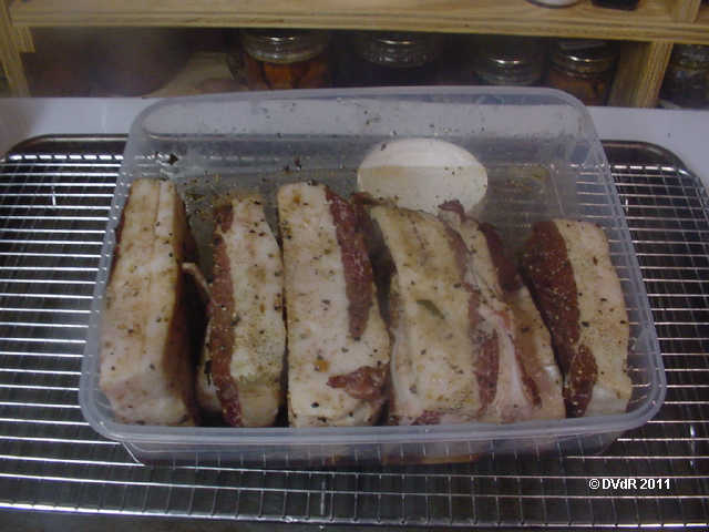 Gardening along the creek...: Curing Salt Pork