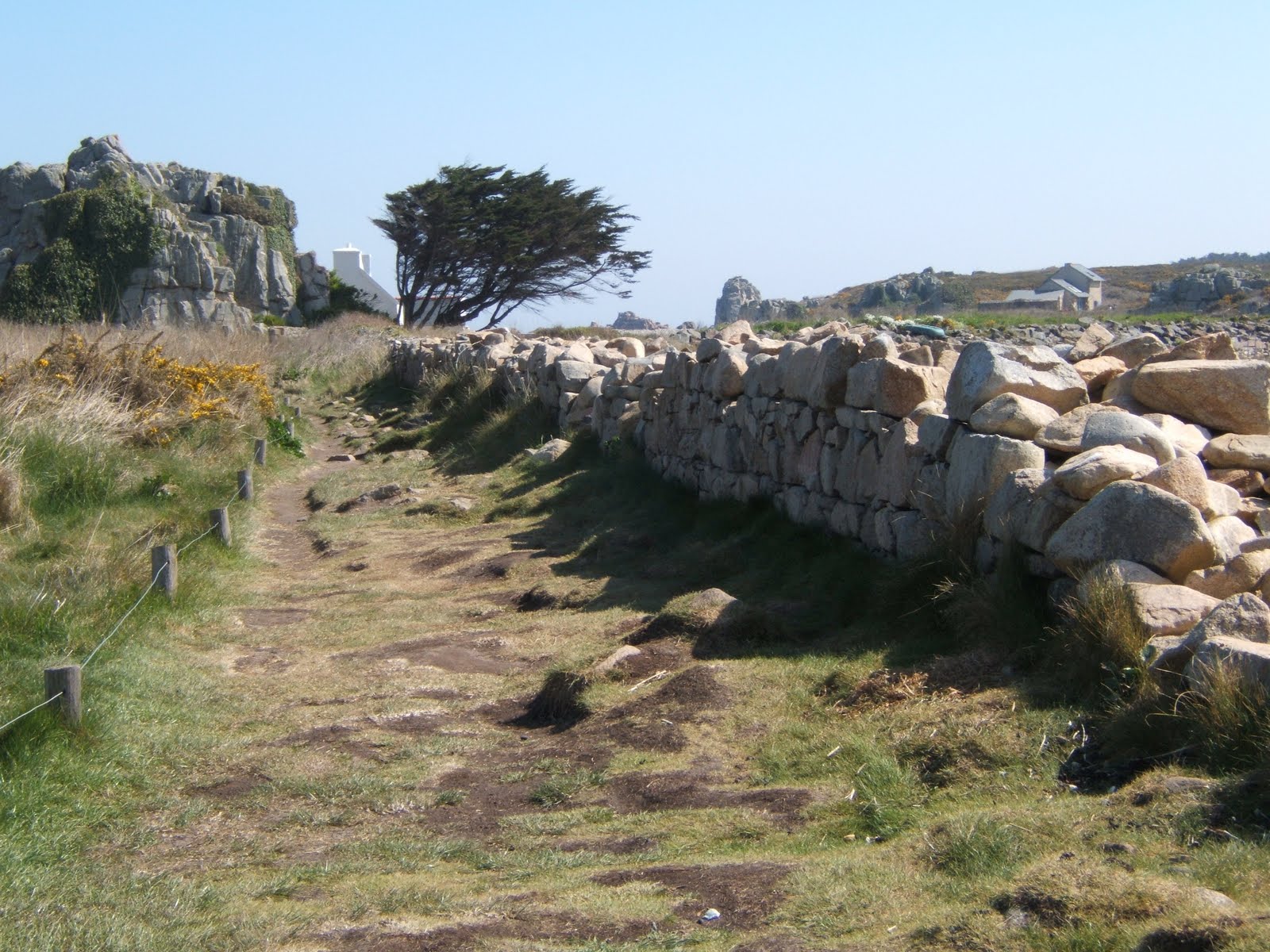 Chemins et jardins ( blog rando et balade ): Plougrescant ...Castel Meur