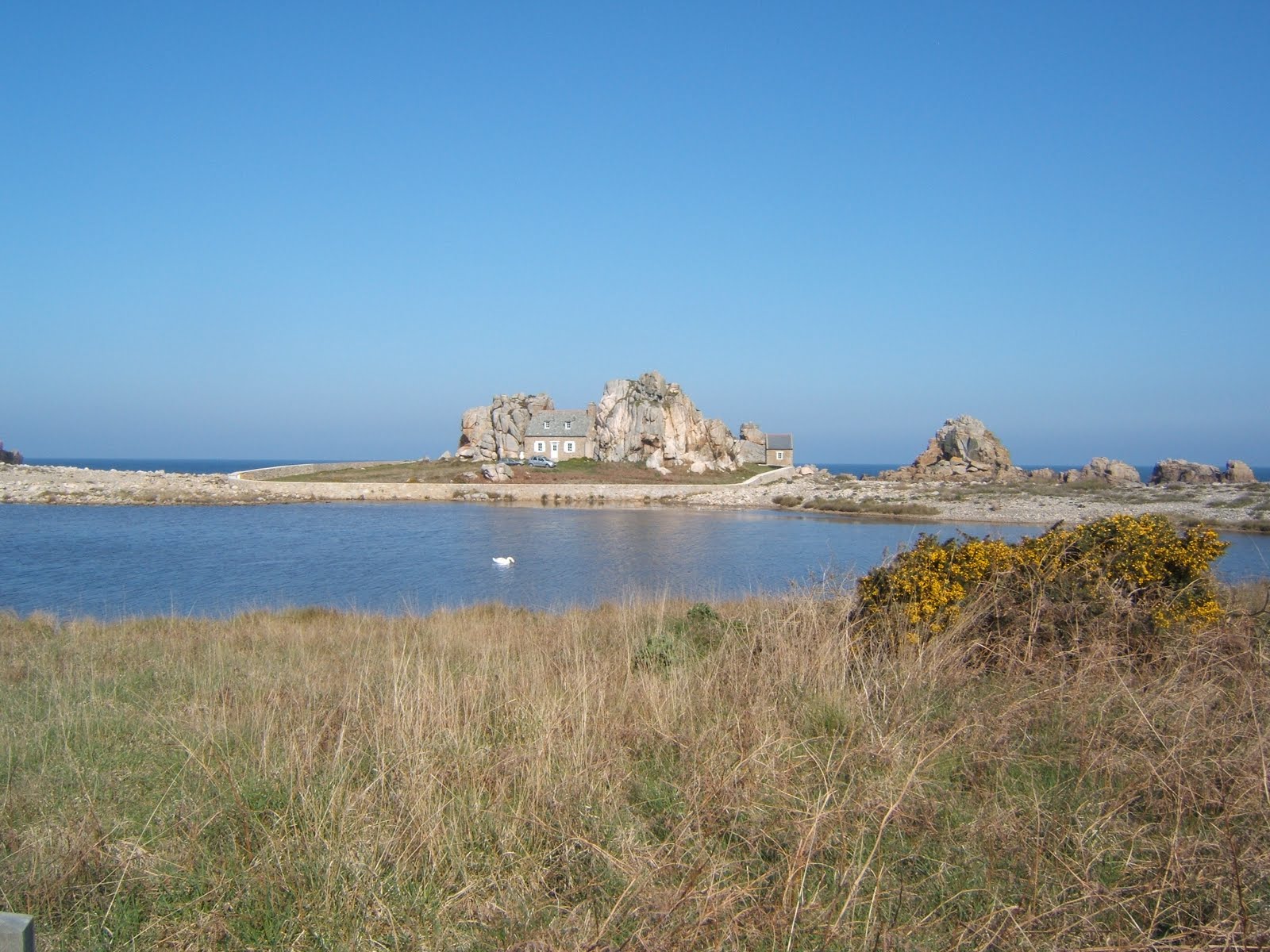 Chemins et jardins ( blog rando et balade ): Plougrescant ...Castel Meur