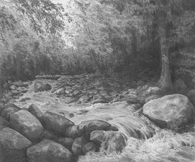 Diane Wright Art Journal: Fading Light