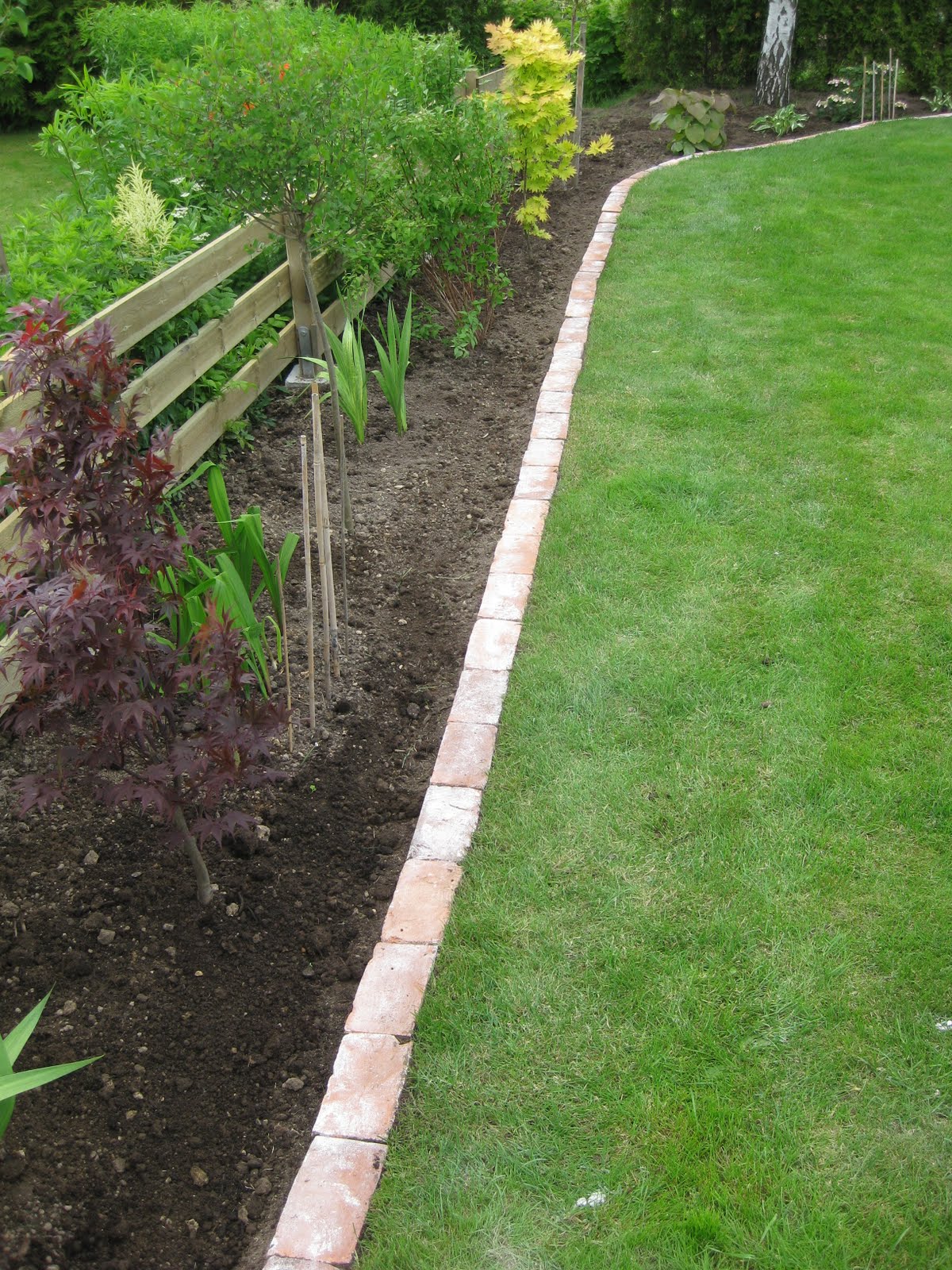 Hallontrollets trädgård: Dagens uppdrag