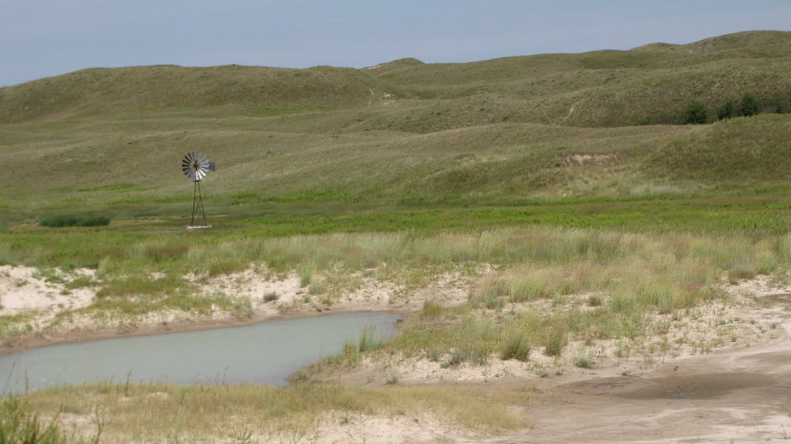 Horses Are Our Lives: Day 10 The Sandhills at Halsey Nebraska