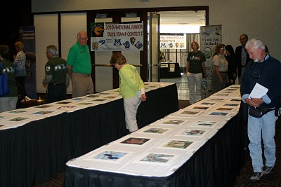 Junior Duck Stamp Contest Winner Revealed!